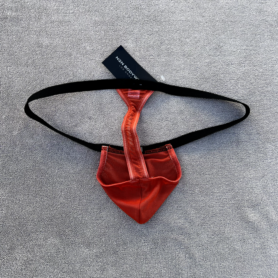 N2N Bodywear Men rust Red sexy Sheer mesh G-string Thong underwear size ...