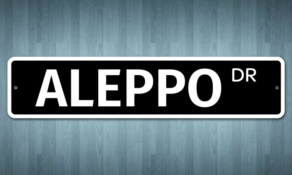 5065 SS Aleppo 4" x 18" Novelty Street Sign Aluminum | eBay