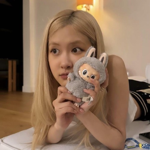 Popmart Labubu Macaron Mascot Secret | eBay