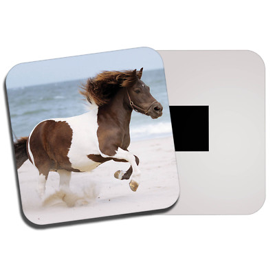 Shetland Pony Fridge Magnet - Horse Ponies Beach Summer Cute Kids Fun ...