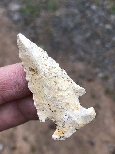 Bolen Bevel Authentic Georgia Florida Native American Artifacts ...