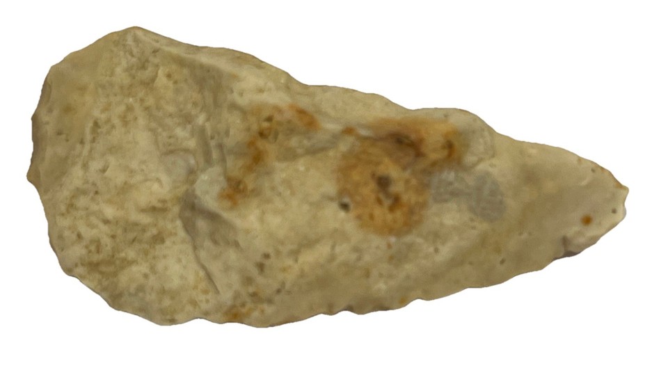 NEOLITHIC FLINT TOOL 4500 - 2500 BC - Northamptonshire Found 1980’s ...
