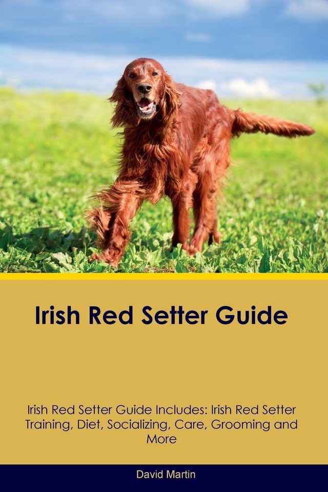 Irish Red Setter Guide Irish Red Setter Guide Includes David Martin ...