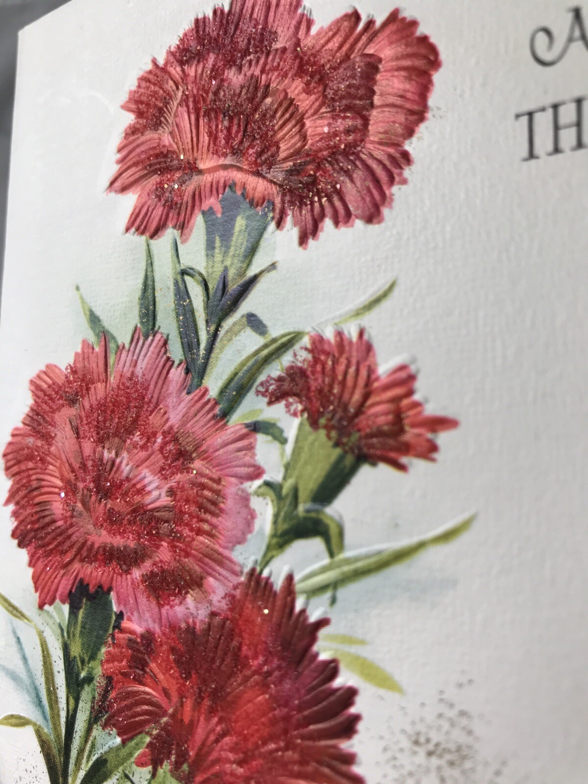 Vintage Unused Graduation Card W/envelope Glitter Red Carnation Rust ...