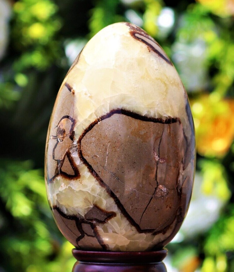 135MM Yellow Septarian Egg Septaria Septeyre Chakra Crystal Healing Gemstone Egg | eBay
