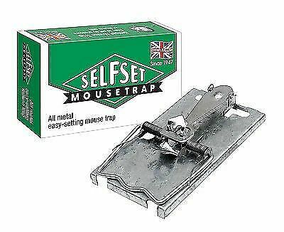 315574 Easy Self Set Metal Mouse Trap 1603 for sale online | eBay UK