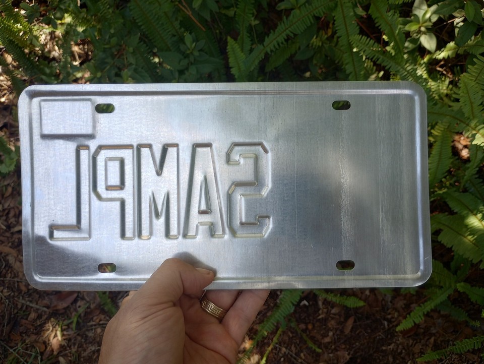 Florida NASCAR license plate. Fl. SAMPL License Plate Mint Condition ...