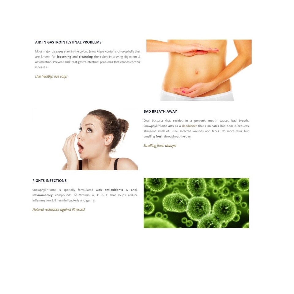 Phytoscience Snowphyll Forte Snow Algae Chlorophyll & Mulberry Leaf ...