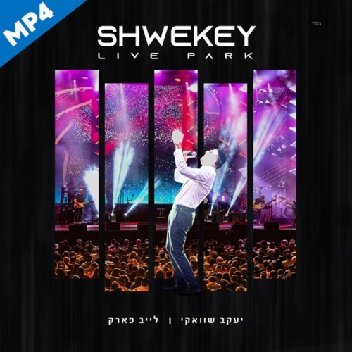 Yaakov Shwekey - LIVE PARK - MP4 USB Brand New! | eBay