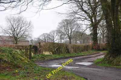 Photo 12x8 Mid Devon : Country Lane Templeton Bridge A small country ...