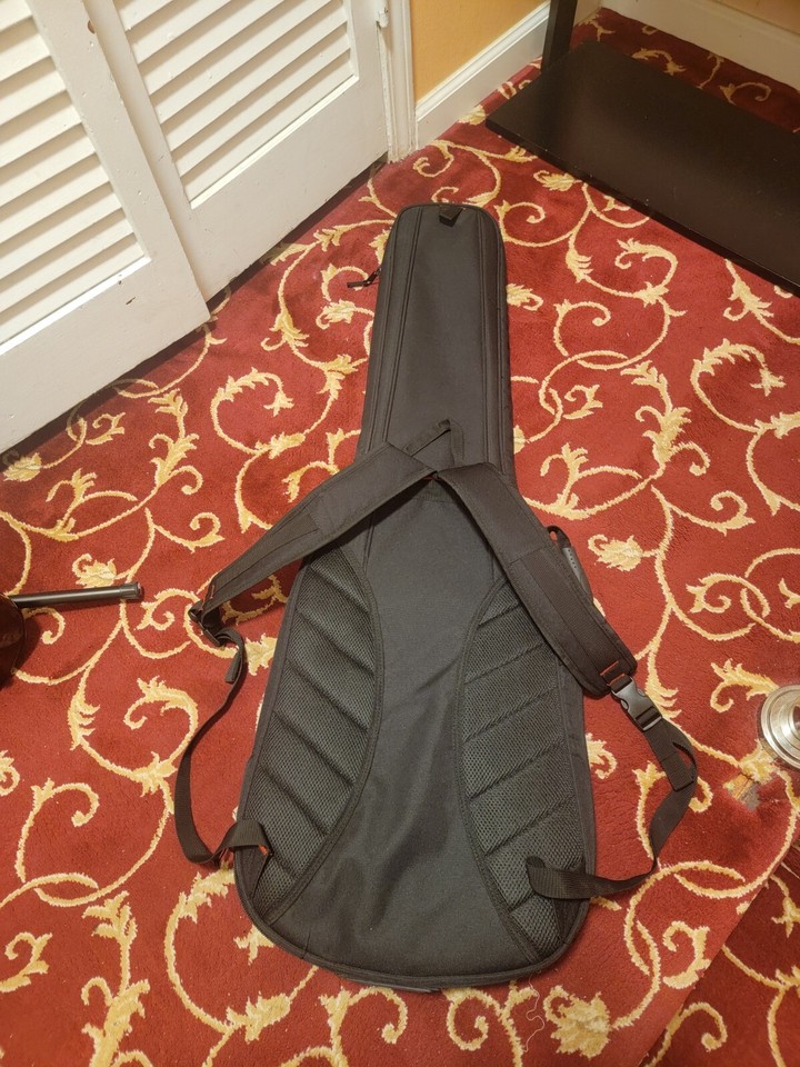 Custom* Built Roscoe 5-String Bass 2023 (Mint Condition) | eBay