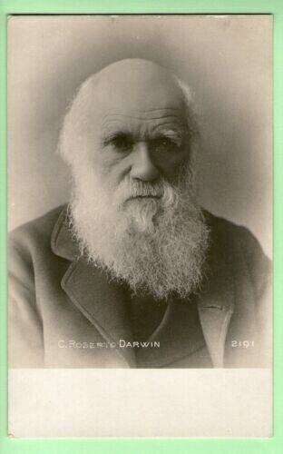 Charles DARWIN English naturalist, Vintage Rare Real Photo Postcard ...