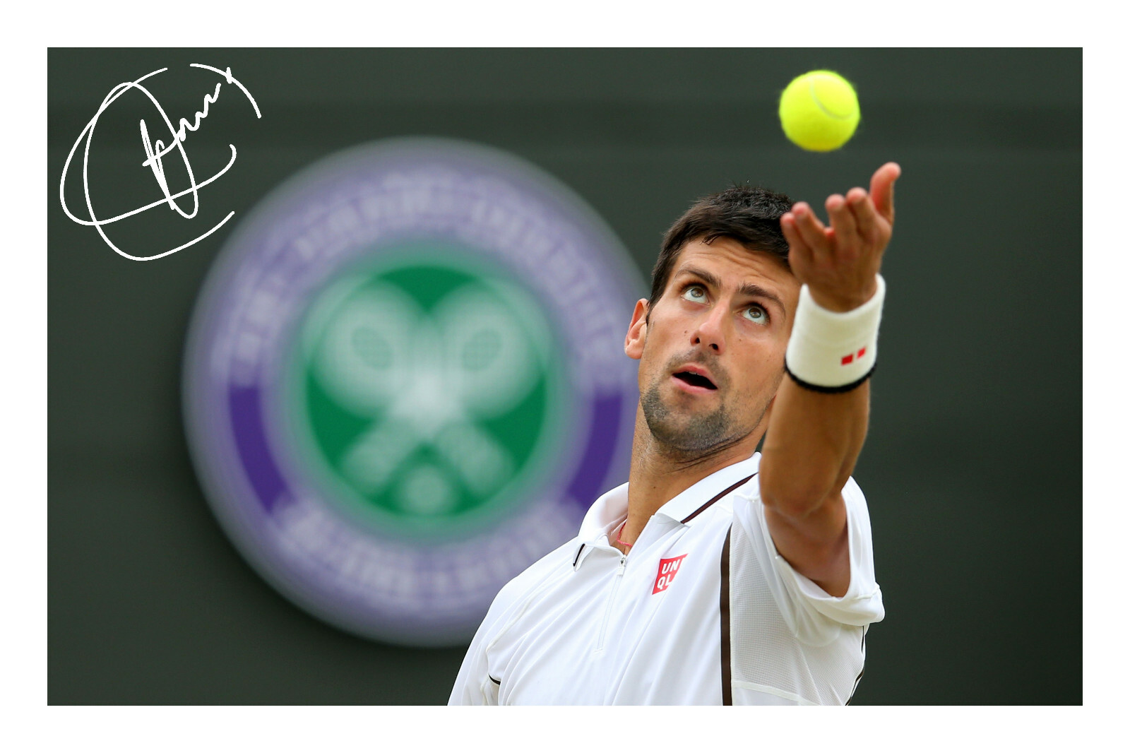 Novak Djokovic Signed A4 Autograph Photo Print Tennis Wimbledon ...