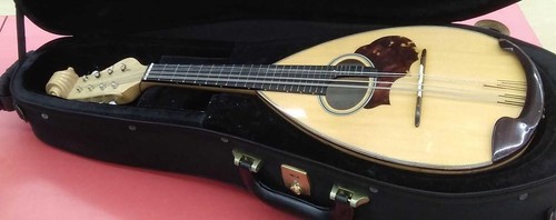 SUZUKI M-150 Mandolin Guitar Master Hand Top Model Semi Hard Case good ...