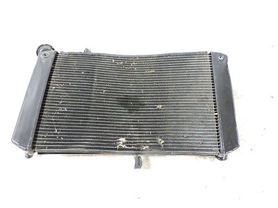 06 FZ1 S FZ 1 FZS1000 FZS 1000 Fazer radiator | eBay