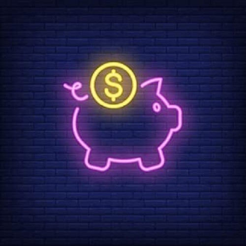 24" Piggy Bank Pink Flex LED Neon Sign Light Party Gift Room Visual ...