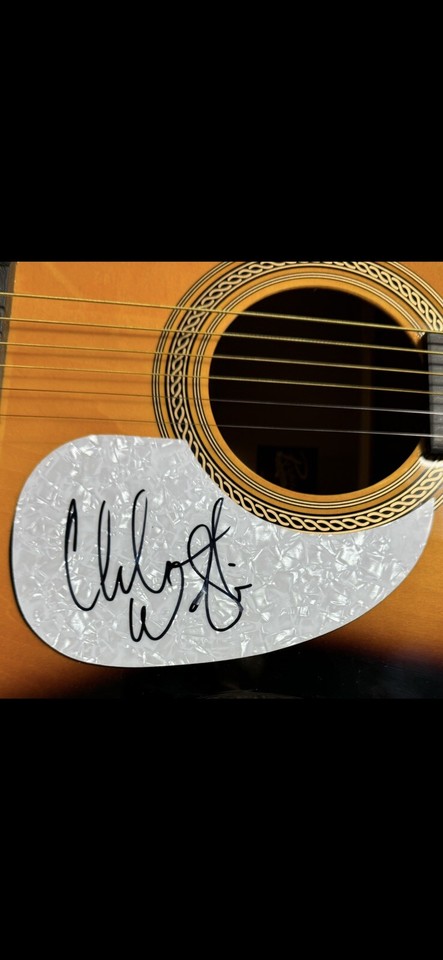 Charles Wesley Godwin Country Folk Singer autographed Full Body ...