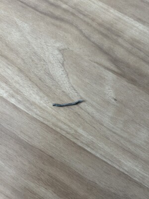 Remington Model 512 Rifle, Cartridge Retainer, Good Used Original, RE ...