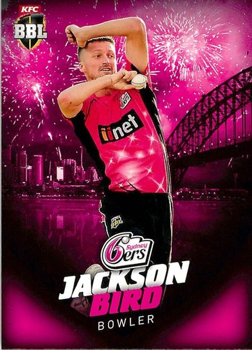 2017 2018 SYDNEY SIXERS BBL Cricket Card JACKSON BIRD | eBay