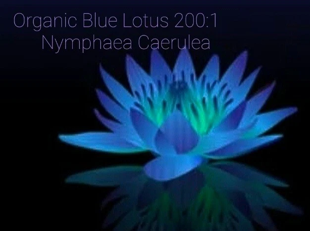 Blue Lotus Flower Symbolism | Best Flower Site