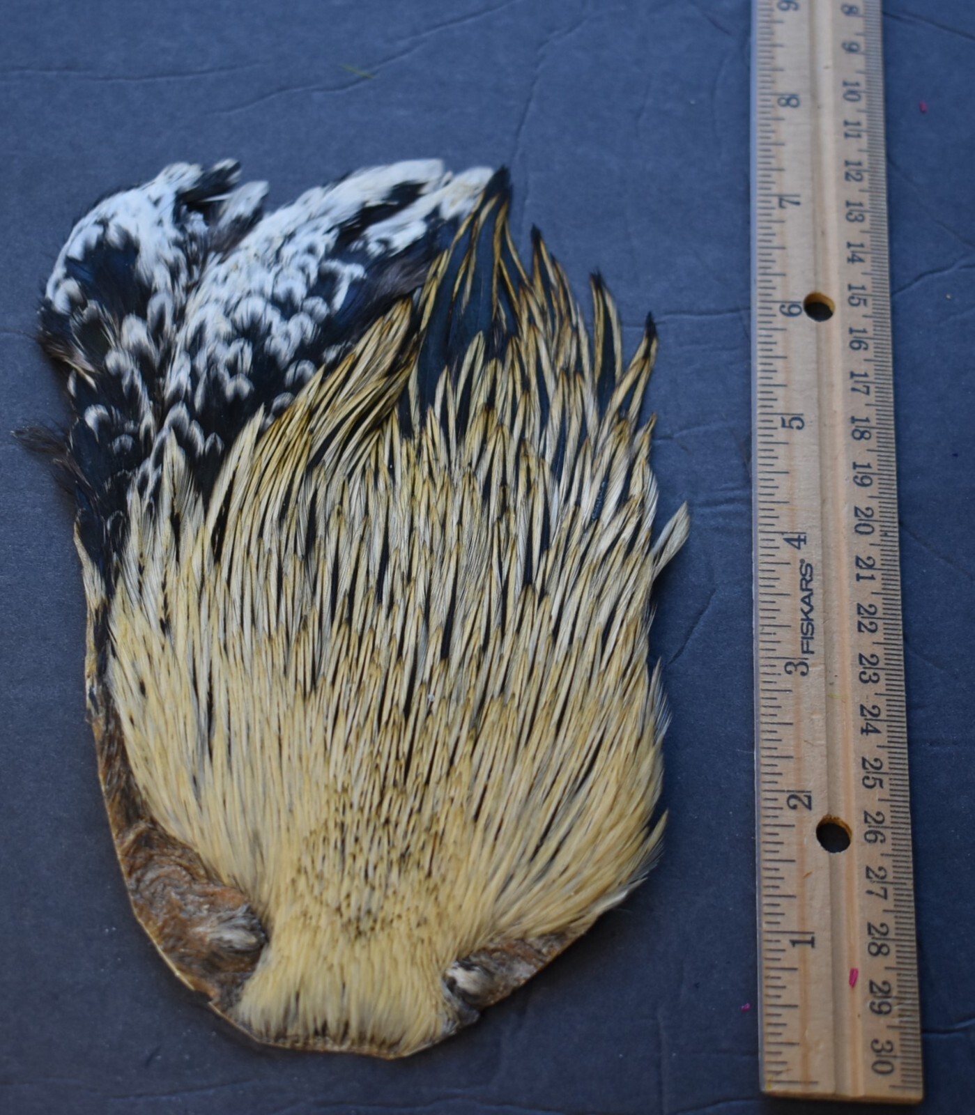 Lot 114, Natural India Rooster Streamer Neck Cape Feathers Fly Tying | eBay