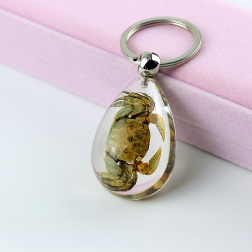 Amber Scorpion Fossil Insects Manual Polishing Lucky Ornaments key ...