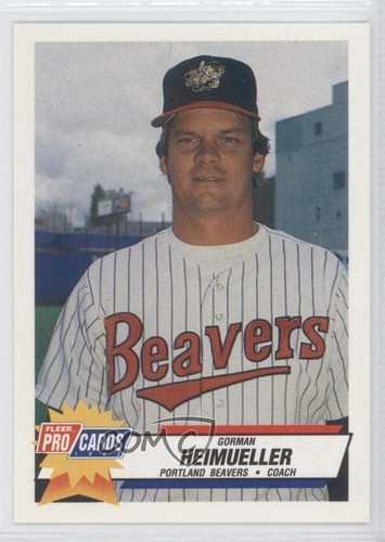 1993 Fleer ProCards Minor League Gorman Heimueller #2397 | eBay