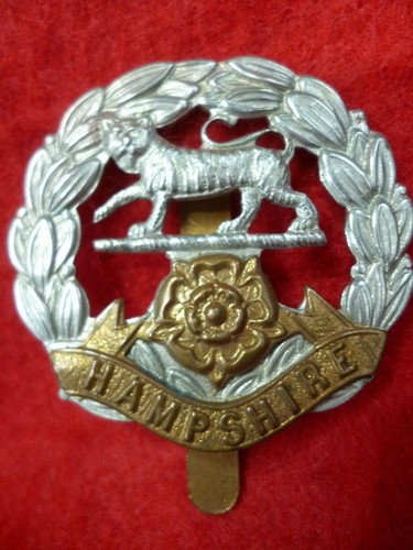 The Hampshire Regiment Bimetal Cap Badge, KK 647, Cat and Cabbage | eBay