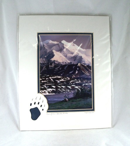 Denali National Park 8 x 10 Matted Lithograph Print Springtime In ...