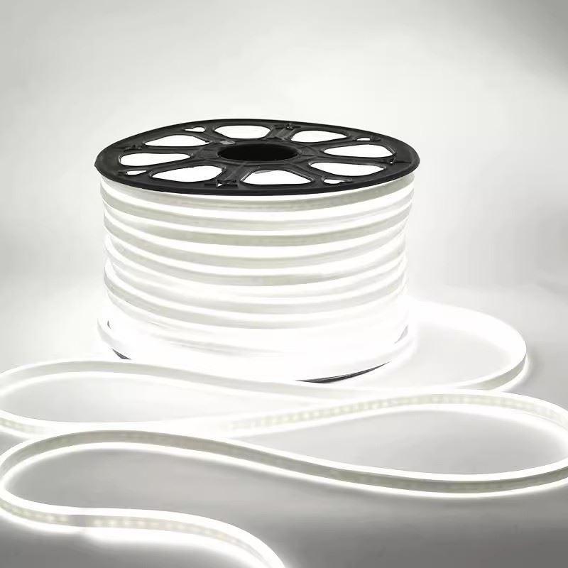 65ft Double-side Neon LED Light Strip 12V 24V Rope Tube Waterproof ...