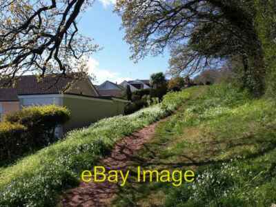 Photo 6x4 Path beside Windmill Lane Shorton Paignton Some 500 metres of ...