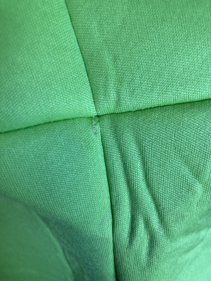 Disney Parks Disneyland Resort Goofy Hat Green Faux Fur Floppy Ears ...