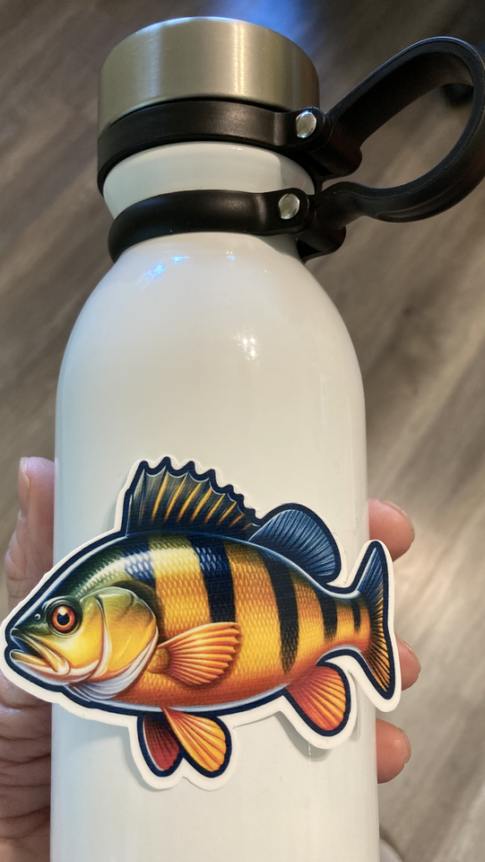 Yellow Perch Fish Sticker, Boat Sticker, Perch Fish Decal/sticker ...