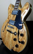 Firefly Semi Hollow Body Electric Guitar FF338 Black Upgraded for sale ...