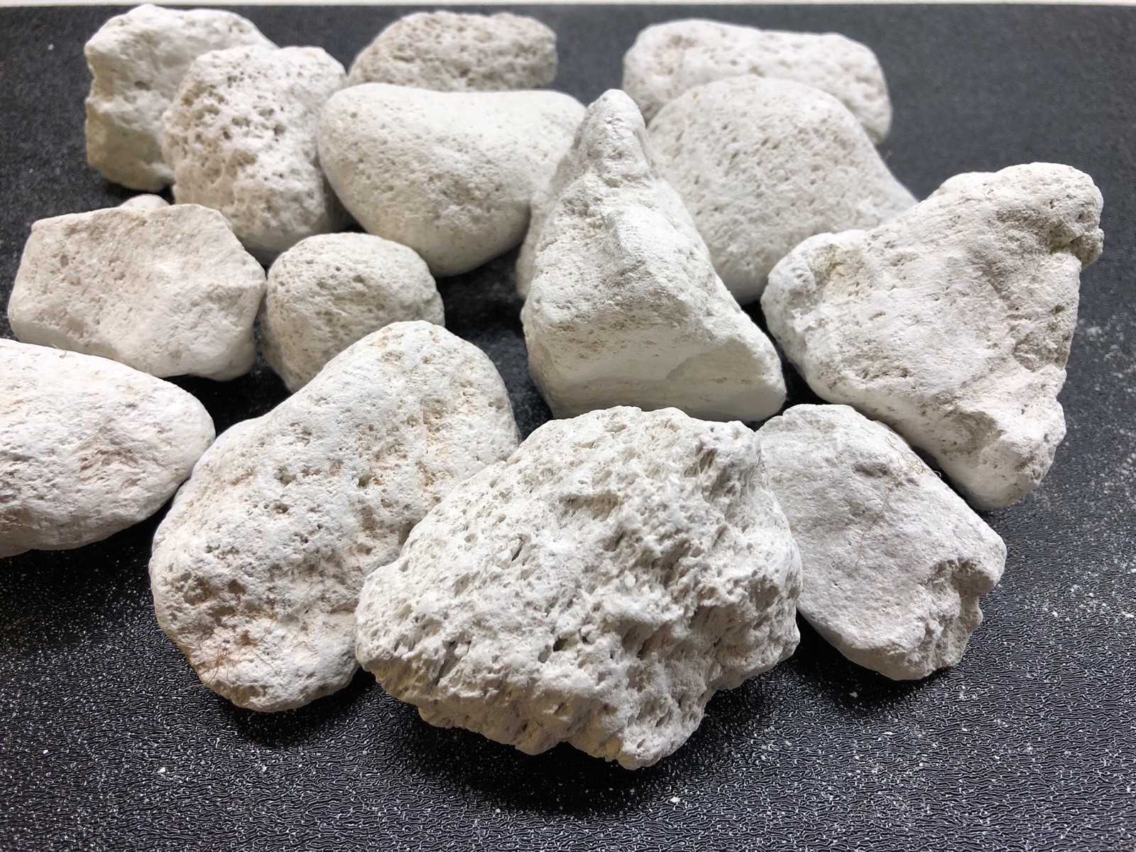 1 gal Premium Quality Pumice Filter Media for Koi Pond, Bakki Shower ...