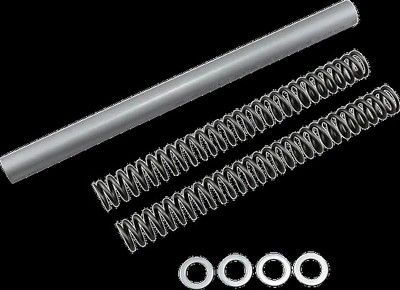 Race Tech Fork Spring 1.00 kg/mm Pair for Kawasaki ZRX1100 99-00 | eBay
