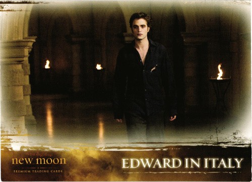 Twilight New Moon Trading Card #62 Edward in Italy NECA 2009 Single ...