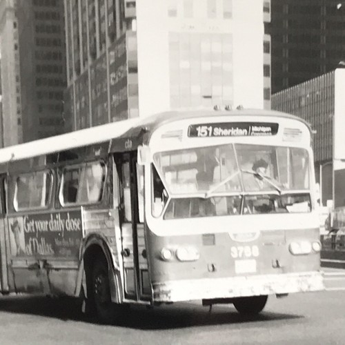 Chicago Transit Authority Bus CTA #3768 Route 151 Sheridan B&W ...