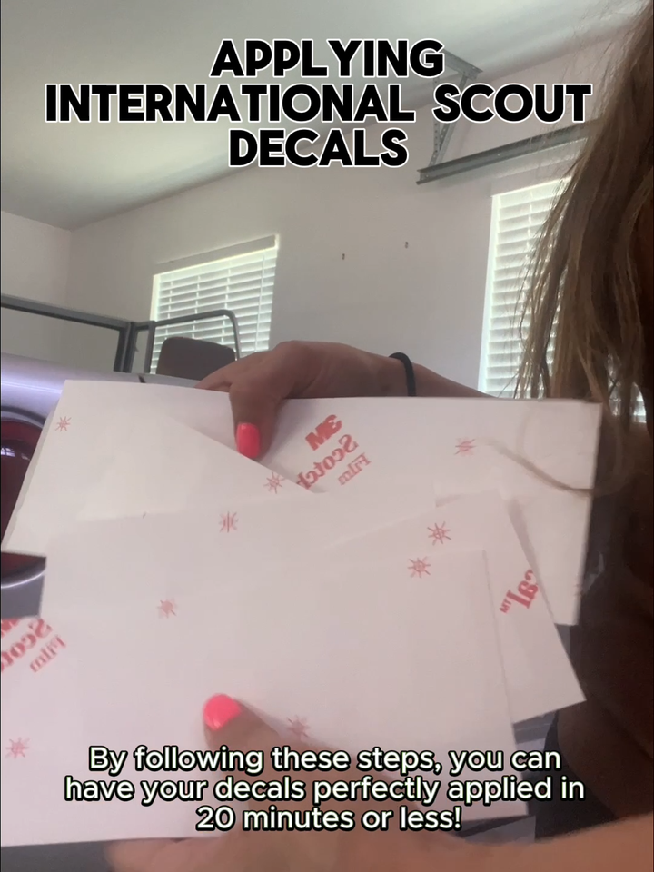 INTERNATIONAL SCOUT 80/800 DECAL TAILGATE SCRIPT LETTERING | eBay