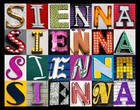 SIENNA Name Poster featuring photos of actual sign letters | eBay
