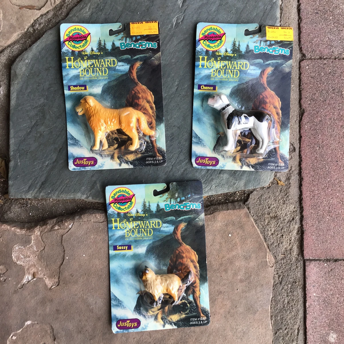 Homeward Bound Chance What Kind Of Dog