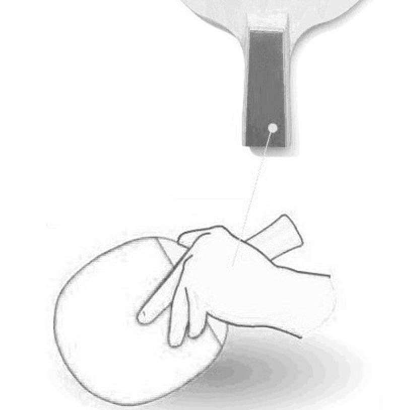 Friendship RITC 2008 Faster / Higher Carbon Custom-made Table Tennis ...