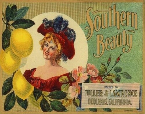 Southern Beauty Lemons Redlands California Citrus Fruit Crate Label Ar ...