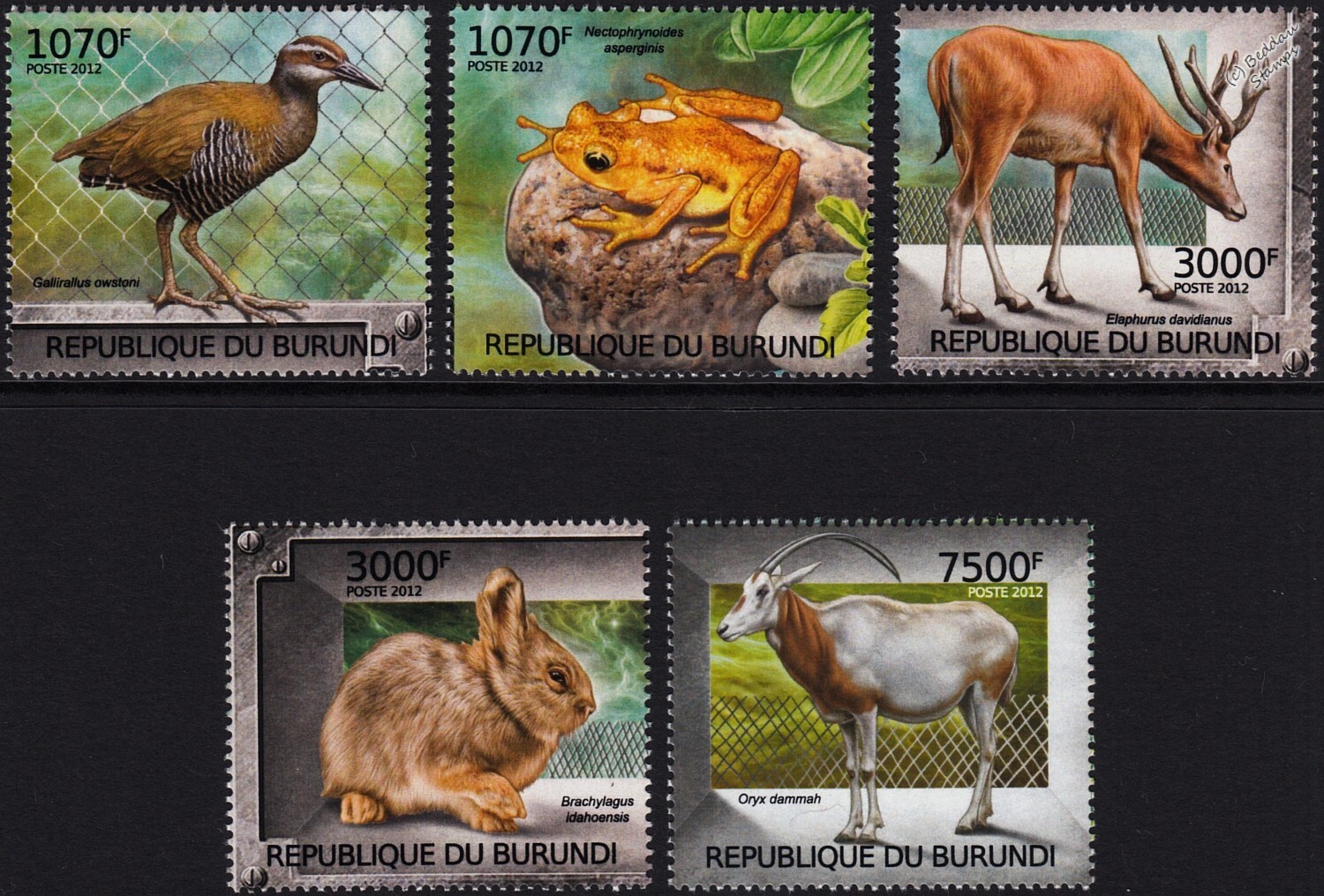 Recent Extinct Species of WILD ANIMALS 5v MNH Stamp Set (2012 Burundi ...