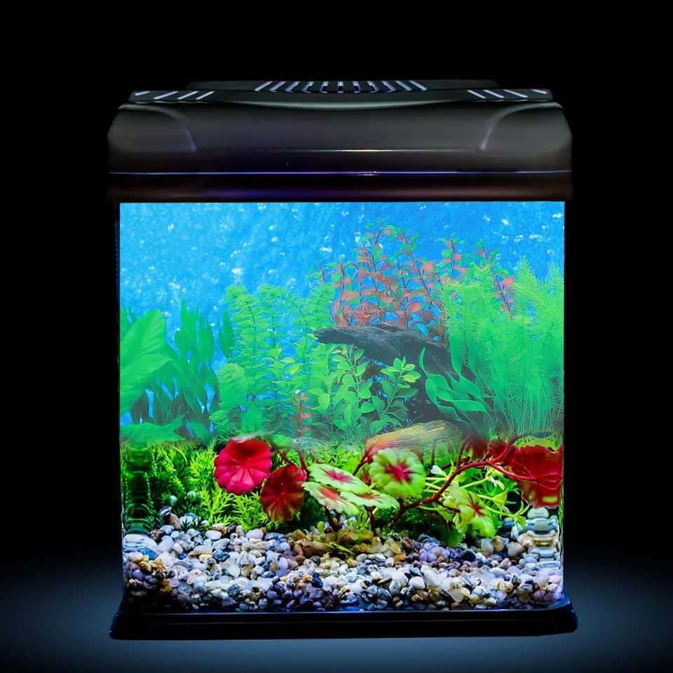 Double-Side Fish Tank Aquarium Coral Pattern Background Wallpaper ...