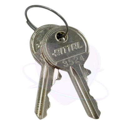 1Pair (2Keys) Fit Rittal 2532000 Enclosure Key | eBay