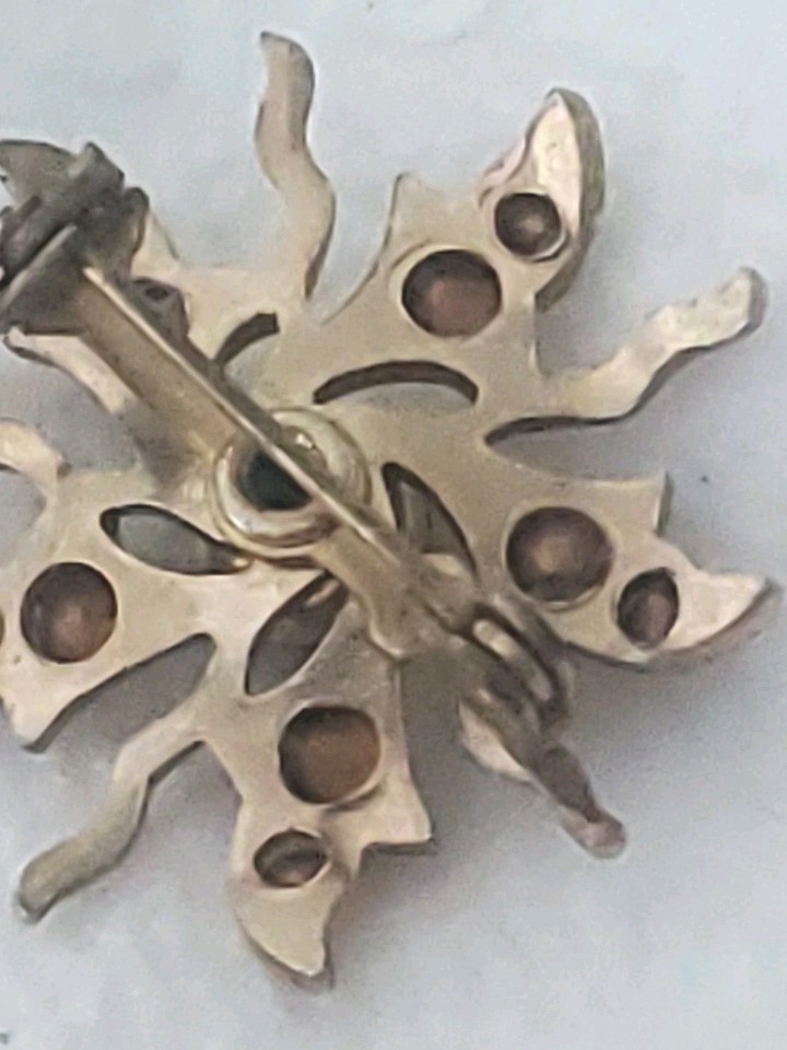 Antique Victorian Floral Star Burst Pin Brooch | eBay