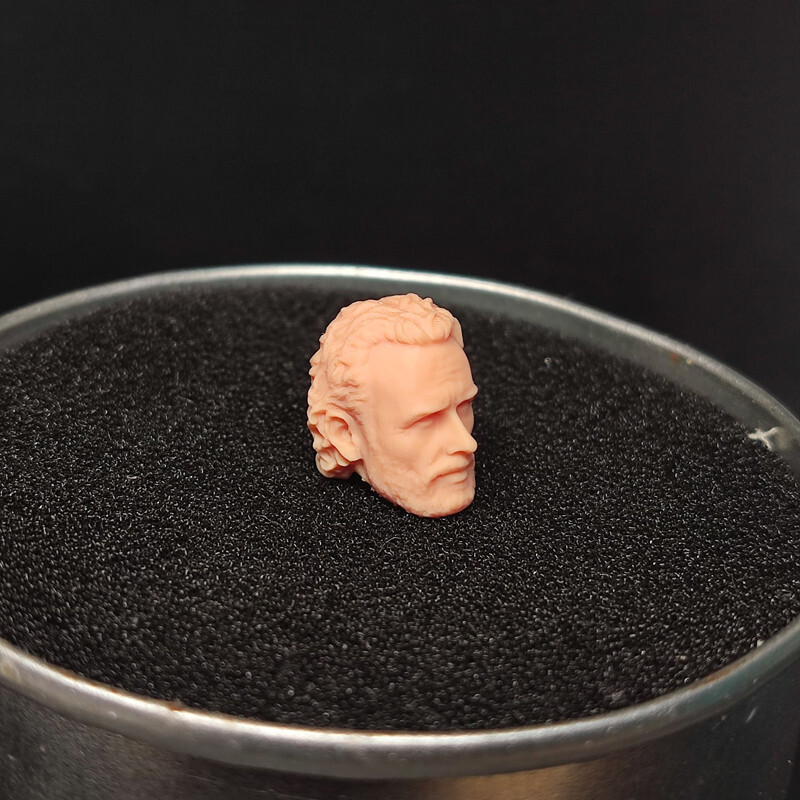 Blank 1/24 Scale The Walking Dead Rick Head Sculpt Unpainted Fit 2.5 ...