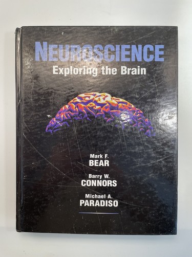 Neuroscience Exploring the Brain by Mark Bear, Barry Connors, Michael ...