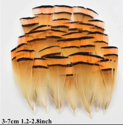 20pcs 3-7cm Black Orange Golden Tippet Pheasant Feathers DIY Art Craft ...